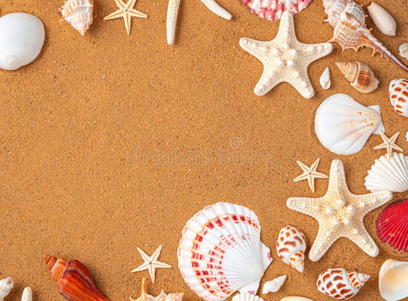 Different Types of Shells on Yellow Sand. Top View, Horizontal Stock ...