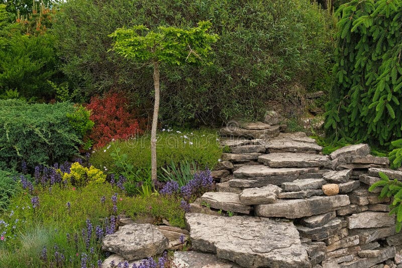 Real Japanese Gardens Stock Photos - Free & Royalty-Free Stock Photos ...