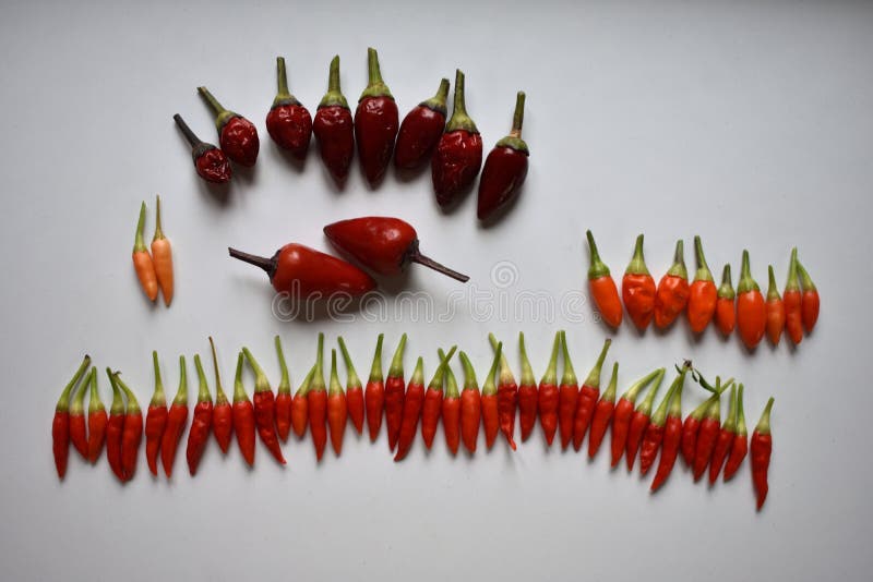 Different Types of Small Peppers of Different Red Shades on a White ...
