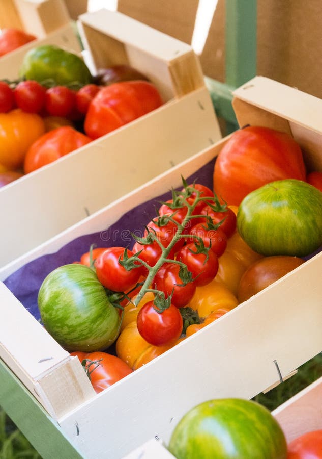 Different Types of Tomatoes are in the Box Stock Image - Image of ...