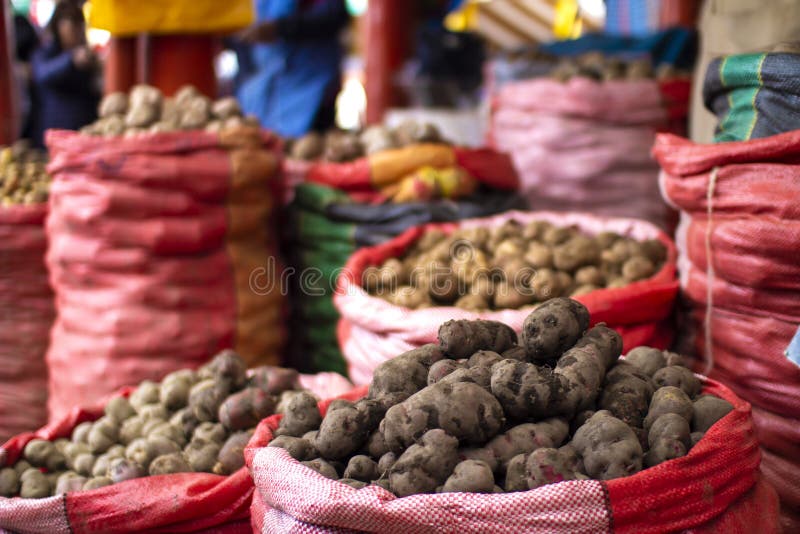 Different Types and Varieties of Peruvian Organic Potatoes in Sacks ...