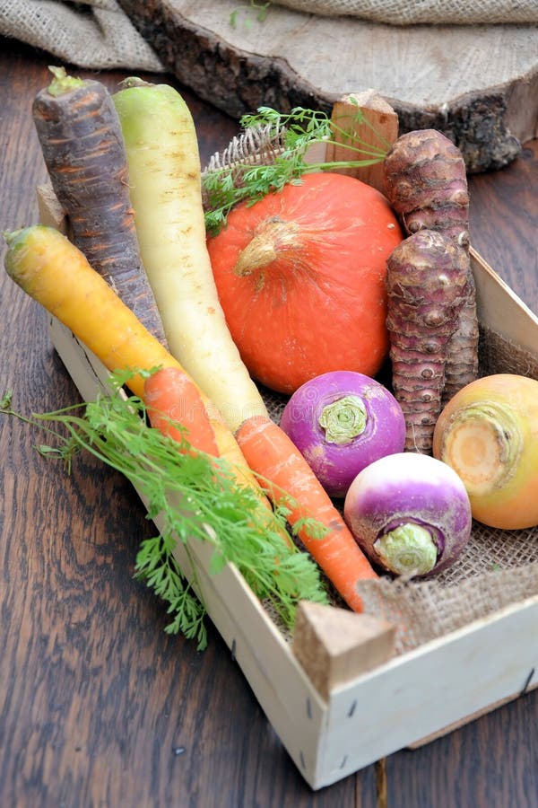 Different Types of Vegetables Stock Photo - Image of bright, farm: 46299400
