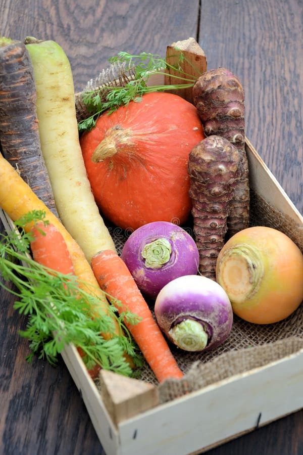Different Types of Vegetables Stock Photo - Image of group, colorful ...