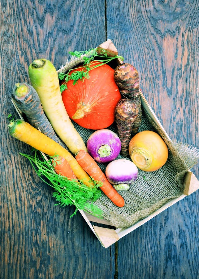 Different Types of Vegetables Stock Photo - Image of design, colorful ...