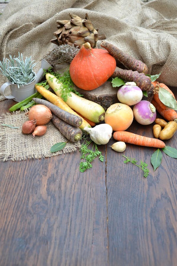 Different Types of Vegetables Stock Image - Image of group, farmer ...