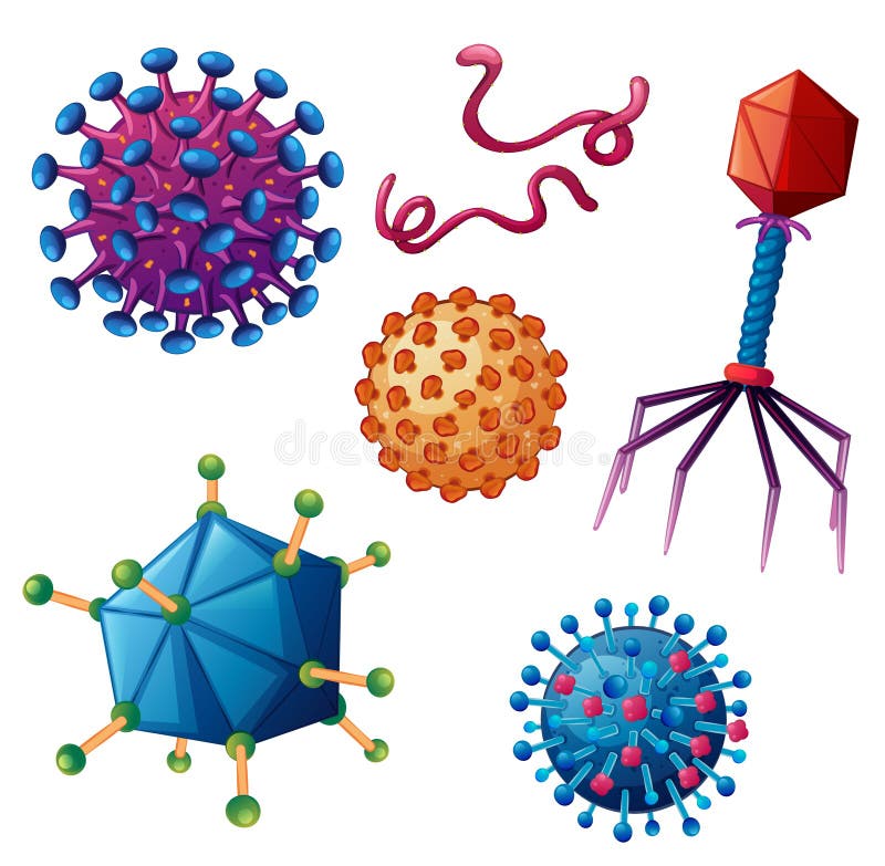 Different Types of Viruses on White Background Stock Vector ...