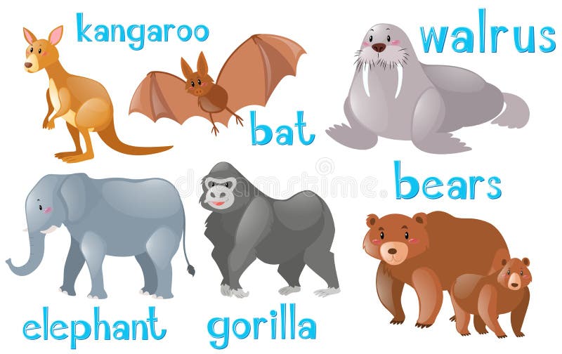 Different Types of Wild Animals Stock Vector - Illustration of living ...
