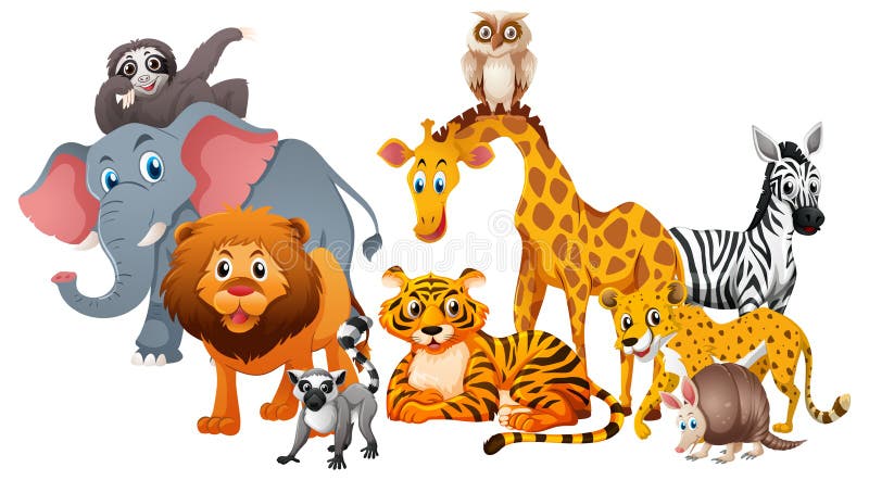 Different Types of Wild Animals on White Background Stock Vector ...