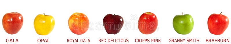 Assortment of apples stock photo. Image of fresh, royal - 30227618