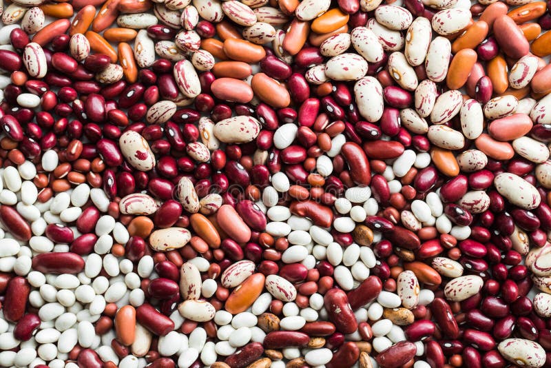 Different Varieties of Bean Seeds. Beans Background Stock Photo - Image ...