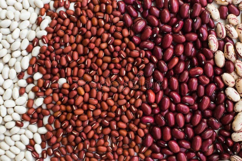 Different Varieties of Bean Seeds. Beans Background Stock Image - Image ...