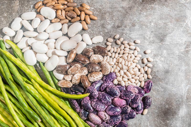 Different Varieties of Beans on a Gray Background. Top View, Copy Space ...