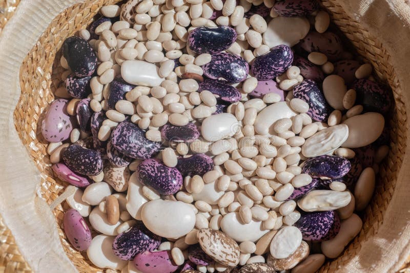 Different Varieties of Beans in a Straw Hat. Top View, Harvest and ...