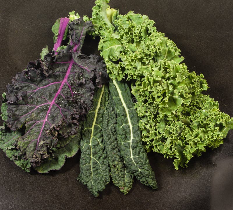 Different Varieties of Kale Leaves Stock Image - Image of kale, leafy ...