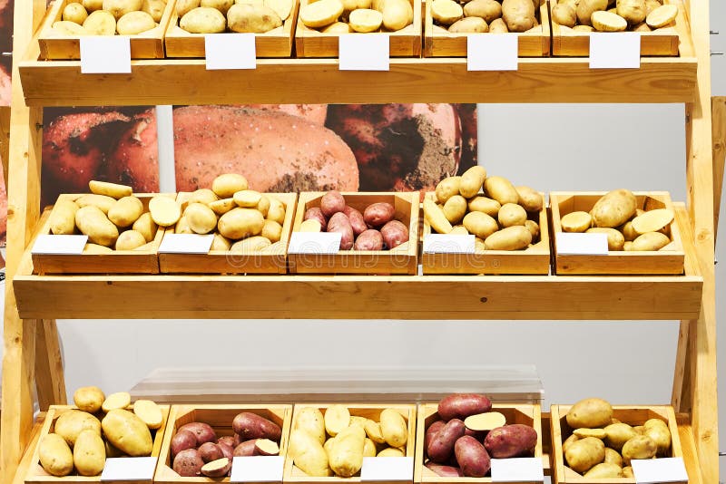 Different Varieties of Potatoes on Shop Stock Photo - Image of crop ...