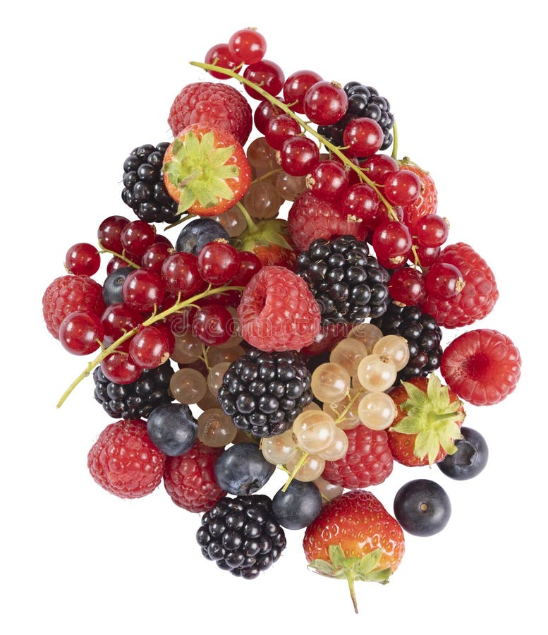 Different Varieties of Summer Berries Stock Photo - Image of vitamins ...