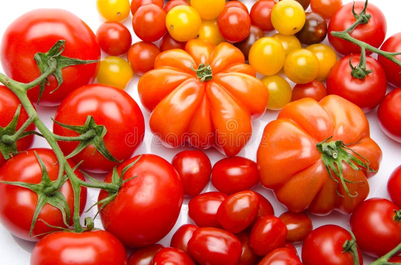 Different Varieties of Tomatoes Stock Image - Image of tomatoes ...