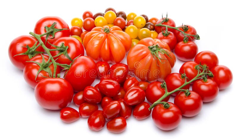 Different Varieties of Tomatoes Stock Image - Image of freshness ...