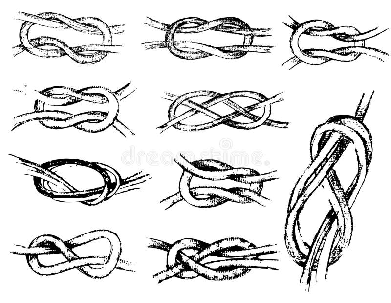 Different Vector Illustration of Knots Stock Vector - Illustration of ...
