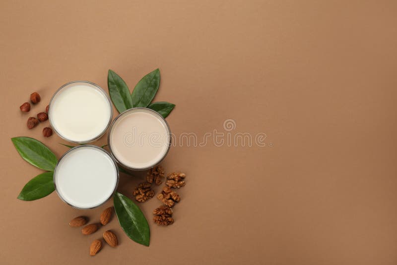 Different Nut Milks on Light Grey Marble Table Stock Photo - Image of ...