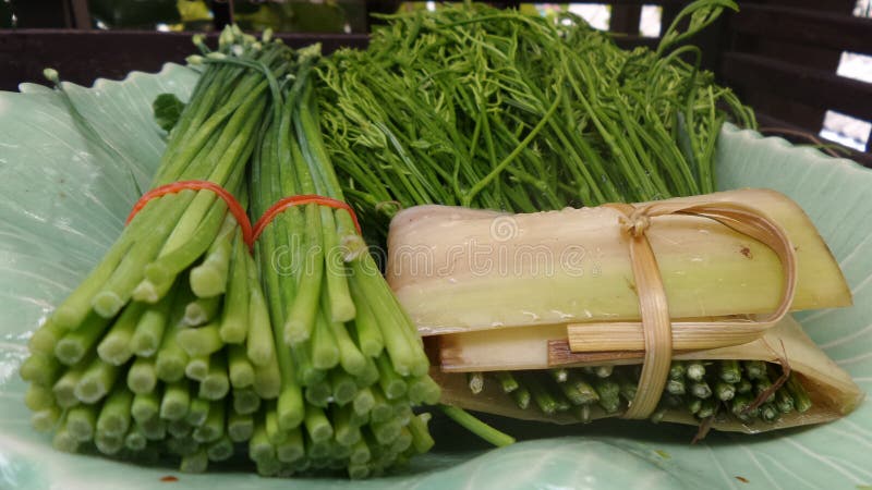 Different Vegetable Packages Stock Image - Image of bark, rubber: 52675333