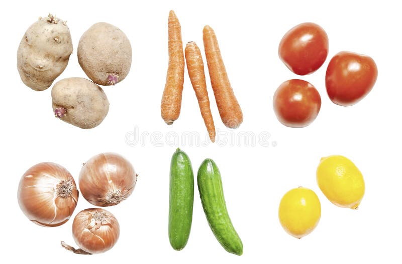 Different Vegetable Seedlings with Marking Labels Stock Image - Image ...