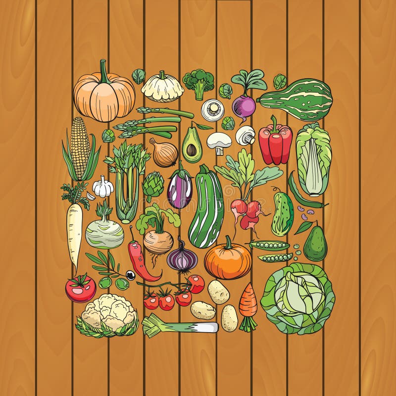 Different Vegetables Drawings Stock Vector - Illustration of diet ...