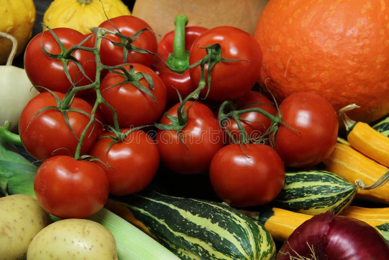 Different vegetables stock photo. Image of fall, diet - 77381004