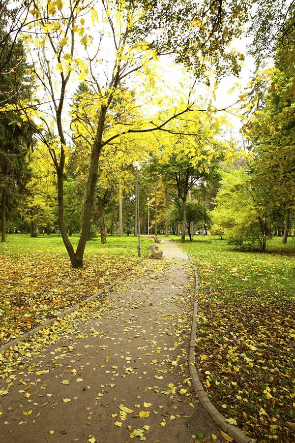 Different Views of Autumn Scenery Stock Image - Image of nature, tree ...