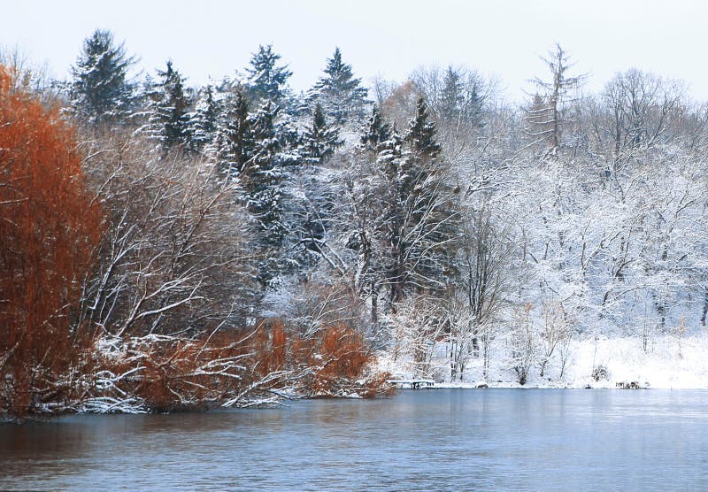 Different Views of Autumn Scenery Stock Photo - Image of tree, outdoors ...