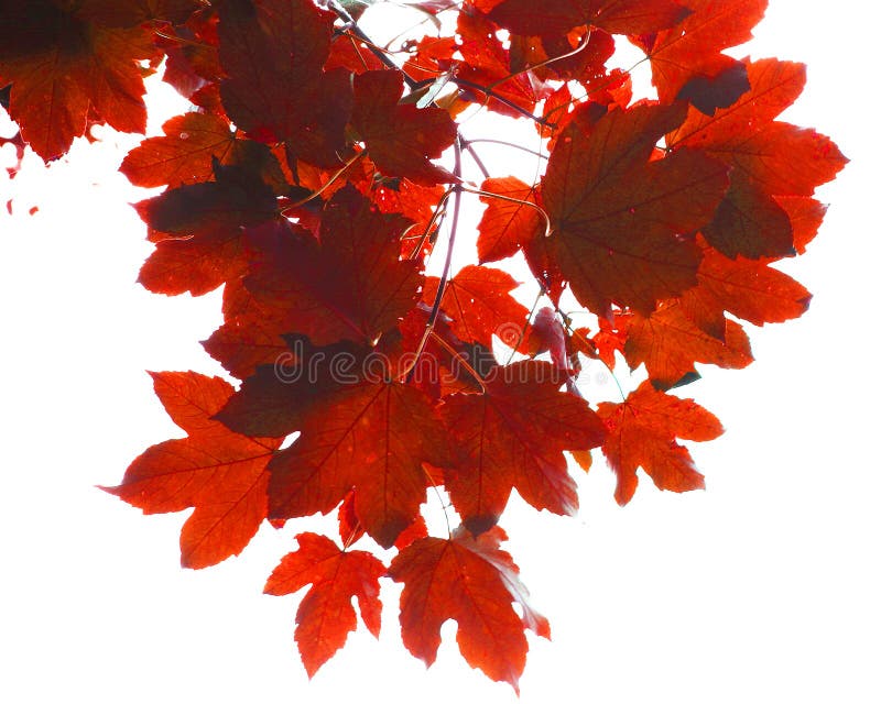 Different Views of Autumn Scenery Stock Photo - Image of road, beauty ...