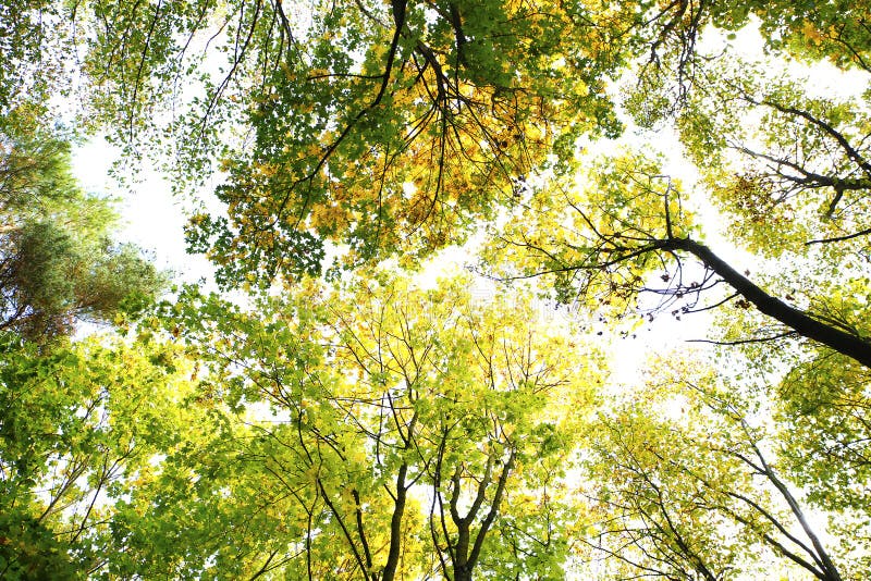 Different Views of Autumn Scenery Stock Photo - Image of landscape ...