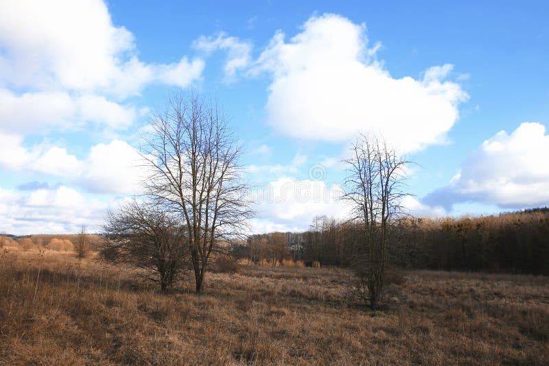 Different Views of Autumn Scenery Stock Image - Image of autumn, leaves ...