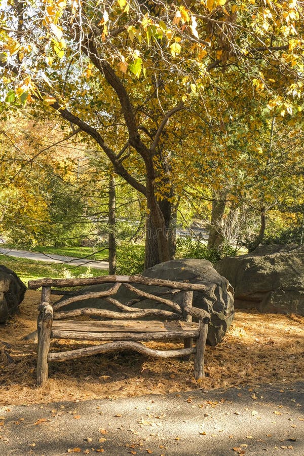 Fall in Central park stock photo. Image of pathway, shadow - 201601596