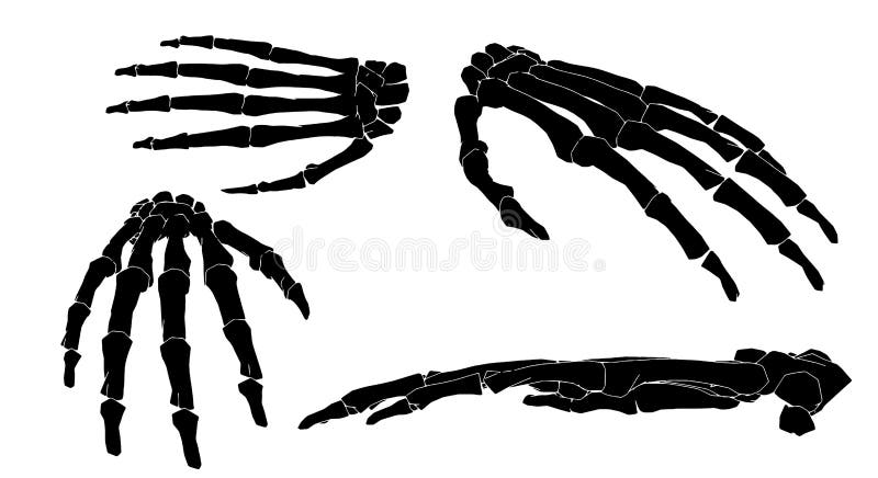 4 Different Views of Forearm in Black and White Stock Illustration ...