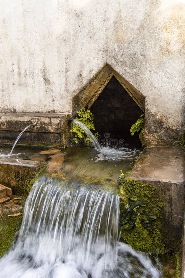 A Different Water Flows in a Natural Spring Source Stock Image - Image ...