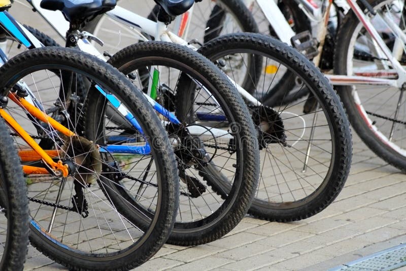 Different Wheels Bicycle in the Park Stock Image - Image of health ...