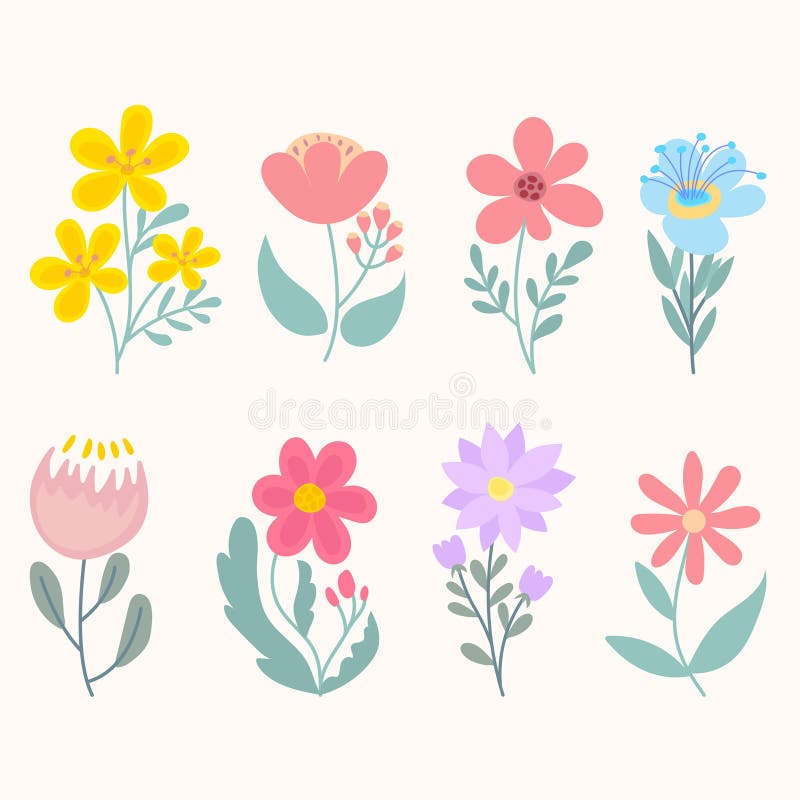 Different Wild Flowers Vector Illustrations Set. Collection of Meadow ...