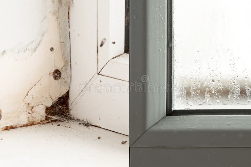 Different Windows with Moisture and Mold and Rust in Apartments, Repair ...