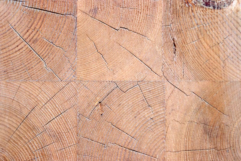 Different wood textures. stock image. Image of rough - 175119627