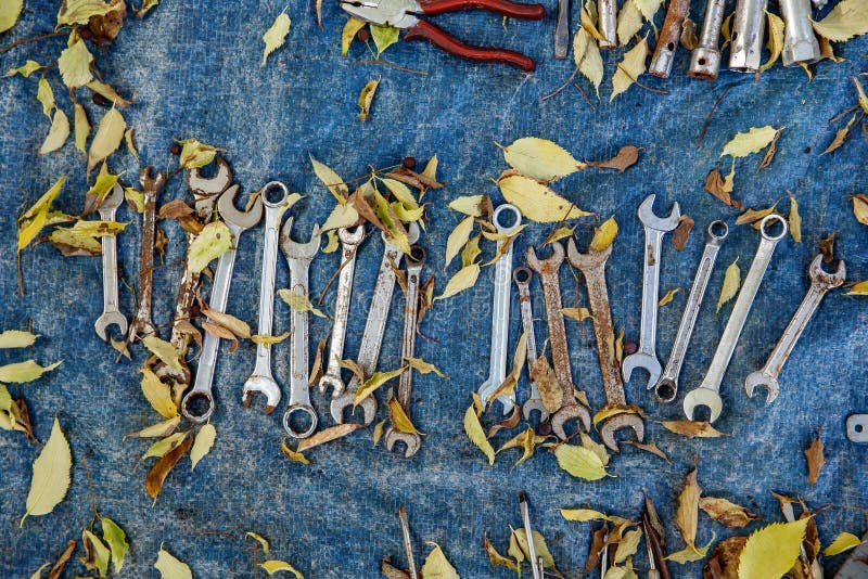 Different Work Tools at the Autumn Background Stock Photo - Image of ...