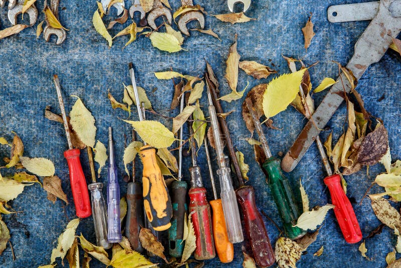 Different Work Tools at the Autumn Background Stock Photo - Image of ...