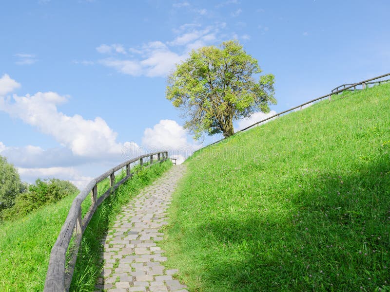 Difficult Cobble Stones Upward Path Stock Photo - Image of shiny, green ...