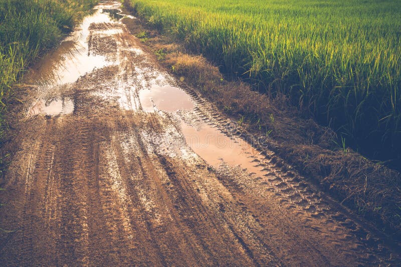 Difficult Road stock image. Image of outdoor, obstacle - 101538167