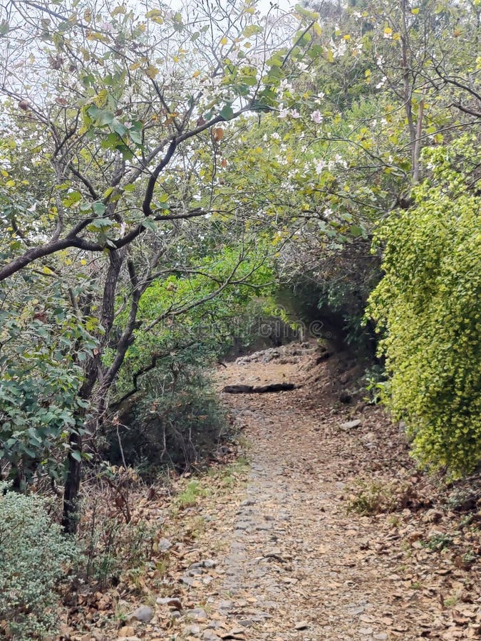 Difficult Roads always Reaches Beautiful Destination Stock Image ...