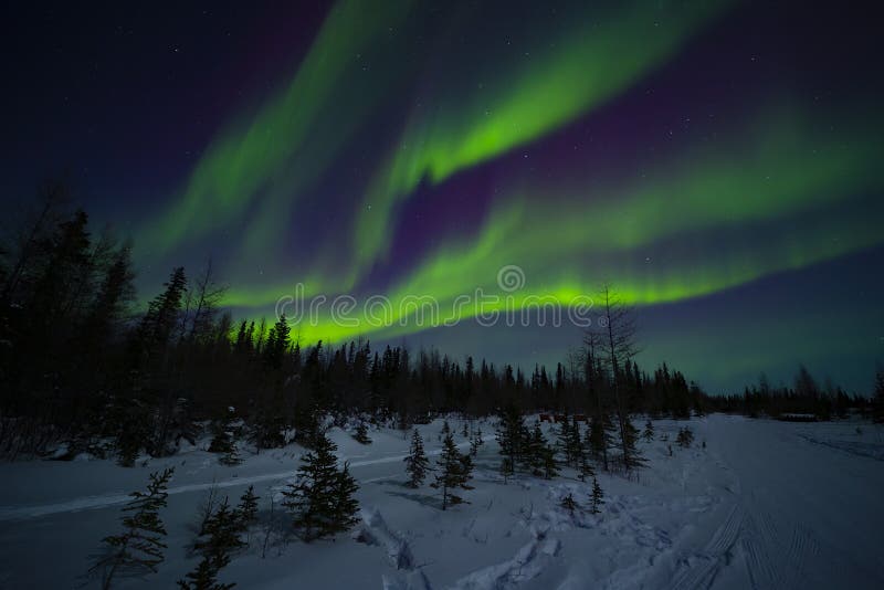 Diffuse Bands of Red and Green Aurora Northern Lights Filling Night Sky ...