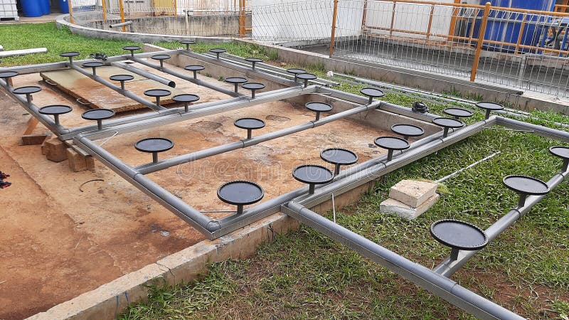 1,015 Diffuser Plant Stock Photos - Free & Royalty-Free Stock Photos ...