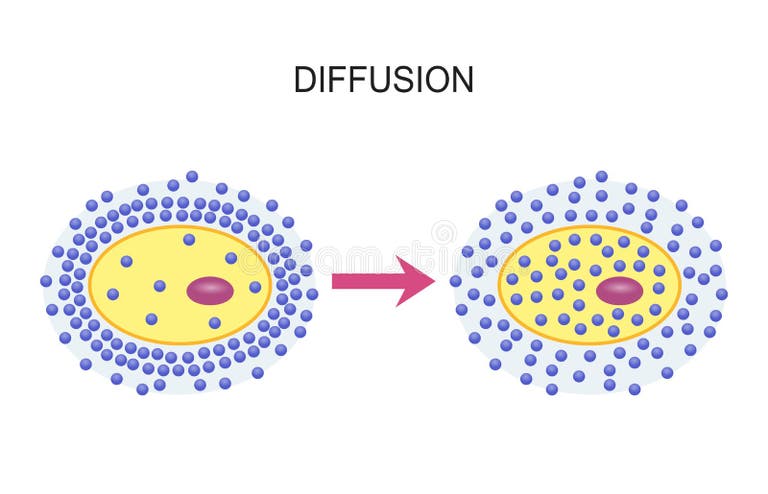 Diffusion Stock Illustrations – 10,662 Diffusion Stock Illustrations ...