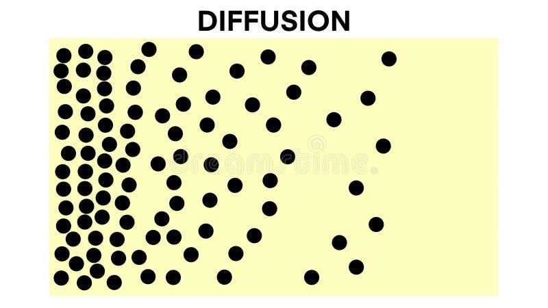 Diffusion, Movement of Molecules and Atoms from an Area of Higher Stock ... Diffusion, Movement of Molecules and Atoms from an Area of Higher Stock ...