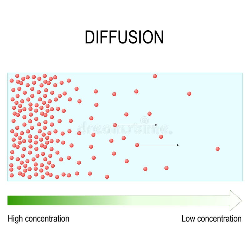 Diffusion Stock Illustrations – 27,402 Diffusion Stock Illustrations ...